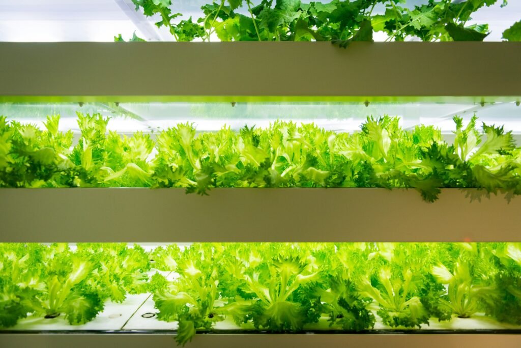 The Rise of Bio-based Chemical compounds: Revolutionizing Supplies for ...